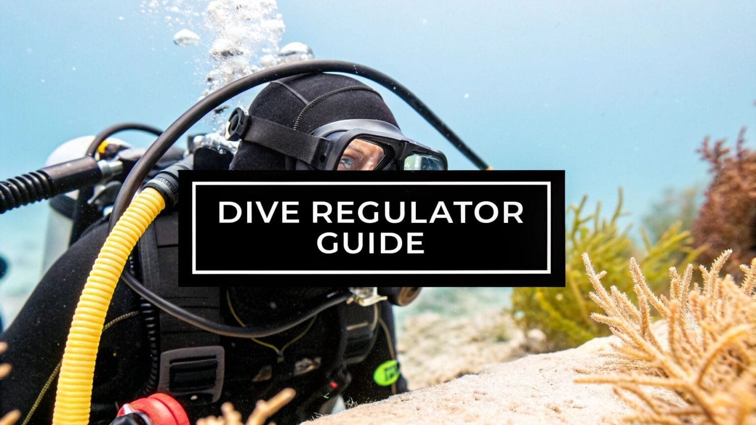 A Diver's Guide to Scuba Diving Regulators - Valm Divers Bohol