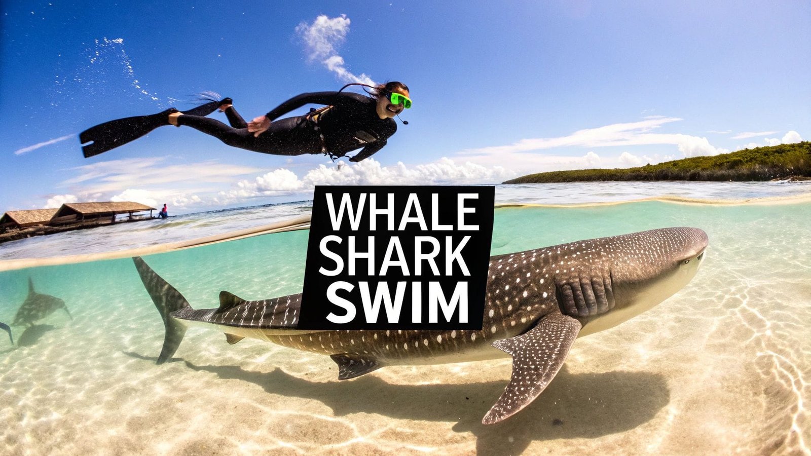 Swimming with the Whale Sharks Cebu: Ultimate Guide & Tours - Valm ...