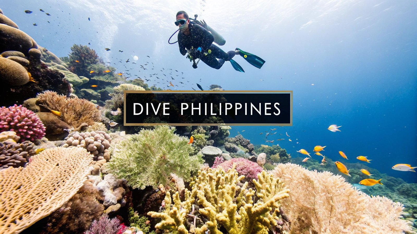 9 Best Places to Scuba Dive in Philippines (2025 Guide) - Valm Divers Bohol